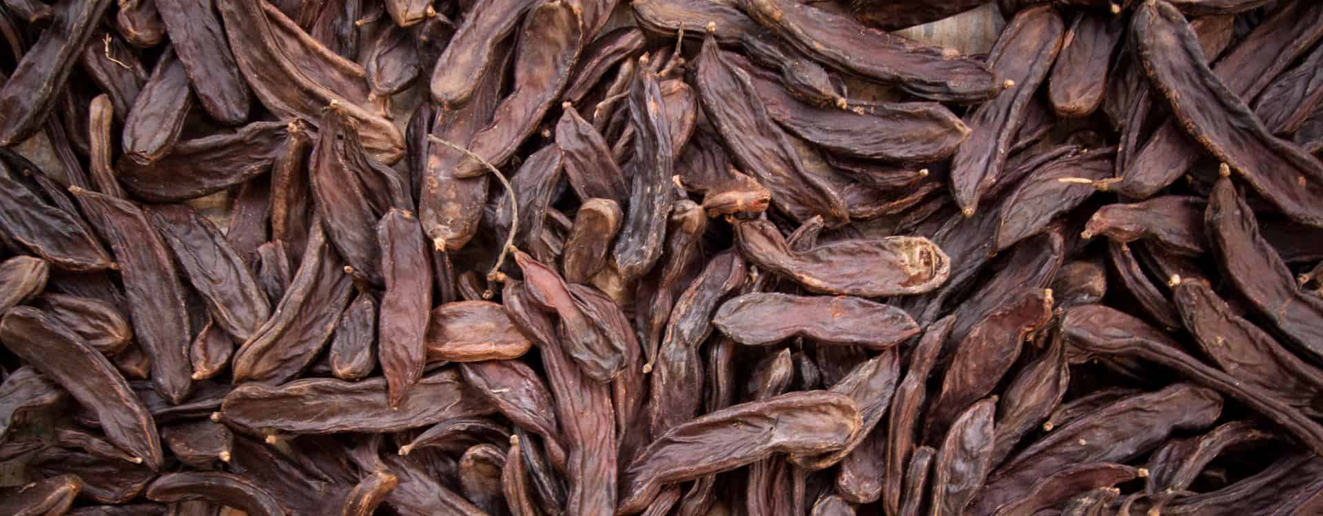 Carob (bot. Ceratonia Siliqua) - knowledge — VEGANE VIBES