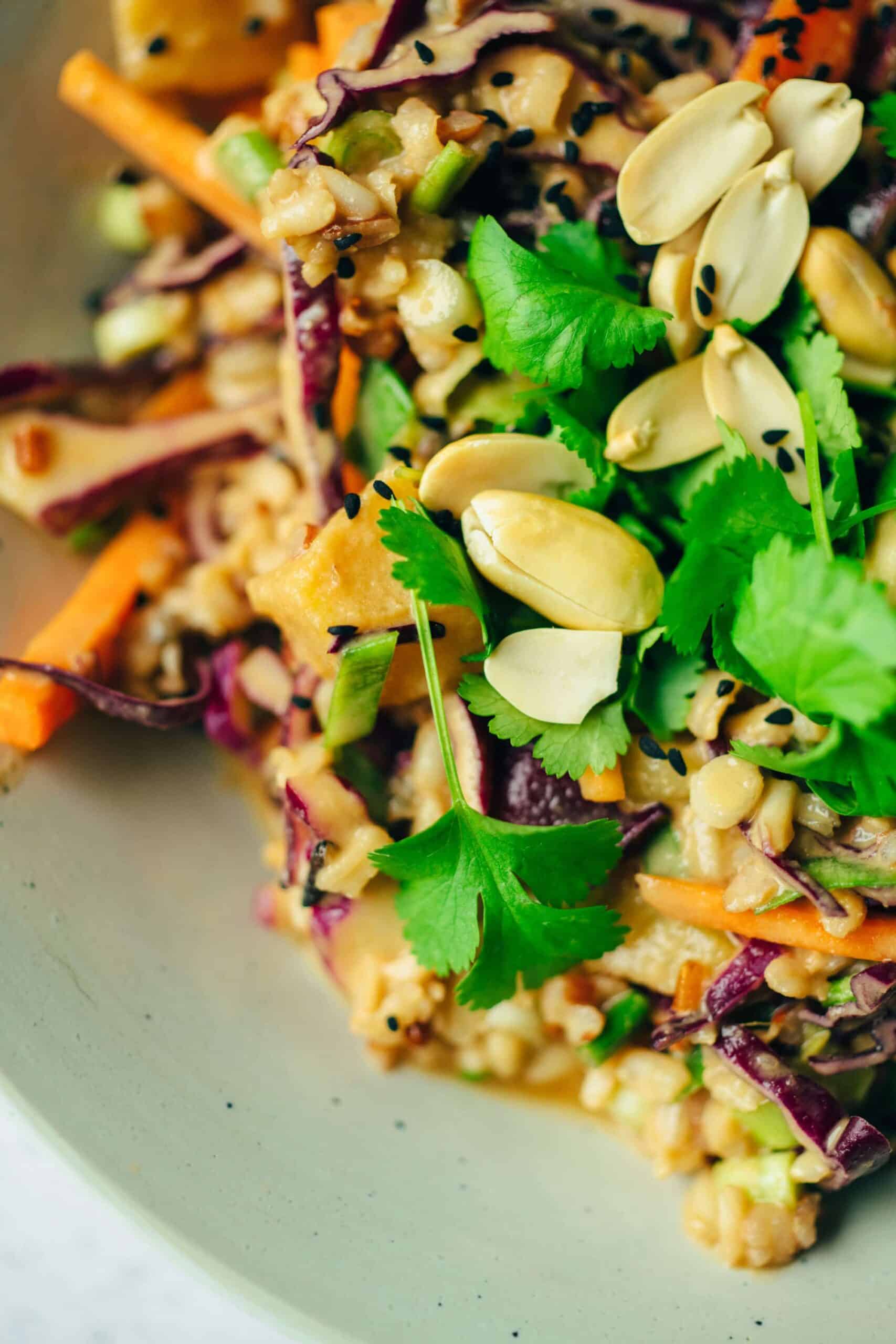 Vegan rice salad with peanut sauce — VEGANE VIBES